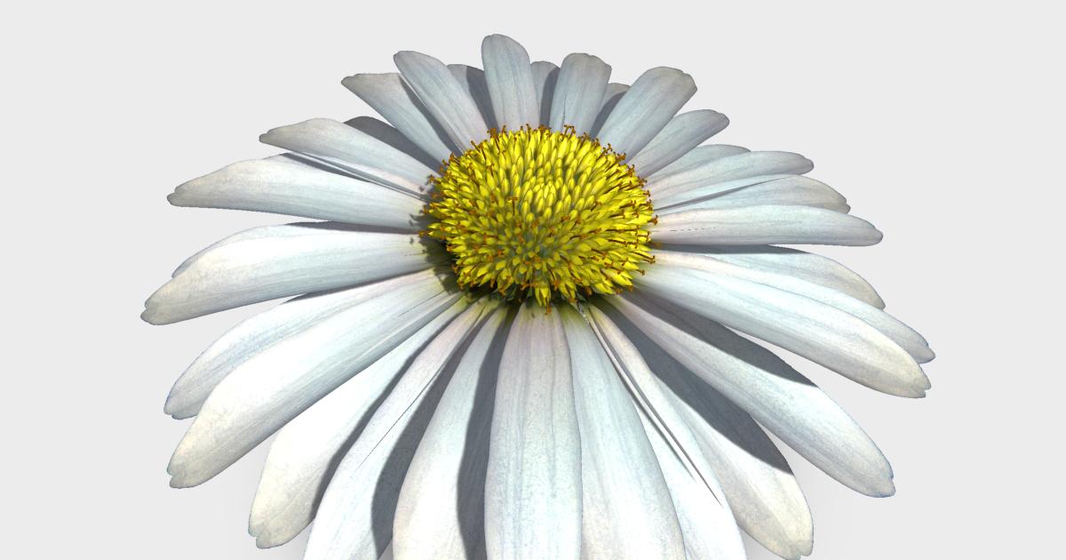 3D model: Ivanjščica